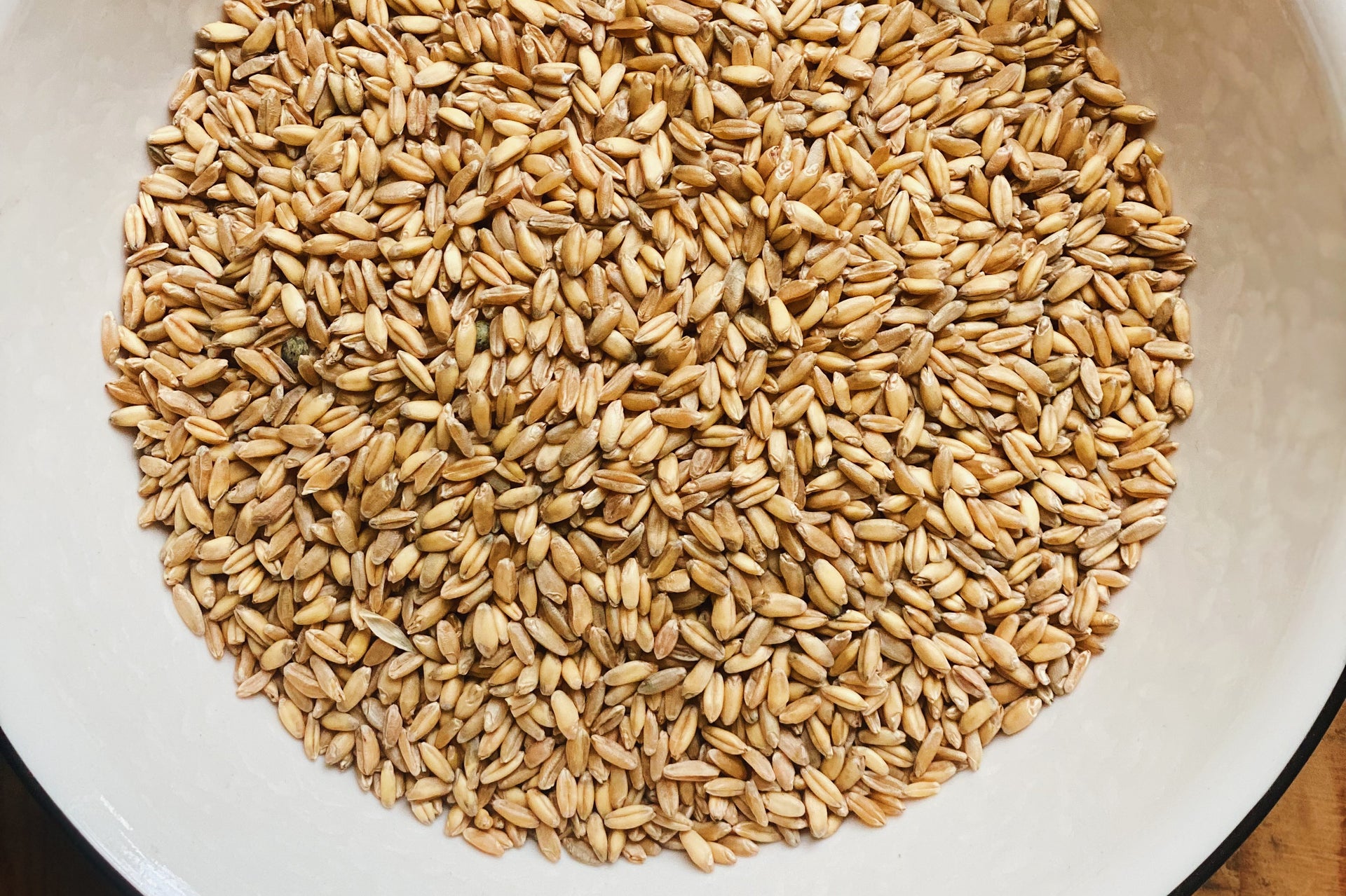 A Deeper Dive Into Durum – Flourist