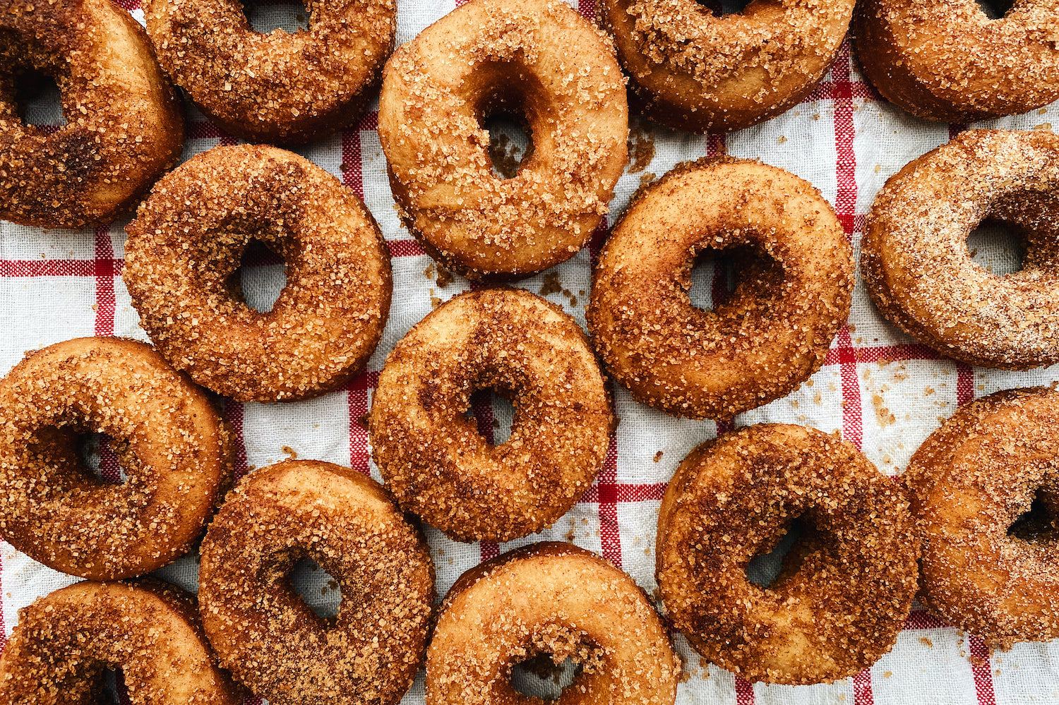 Sourdough Donuts with Cinnamon Sugar – Flourist
