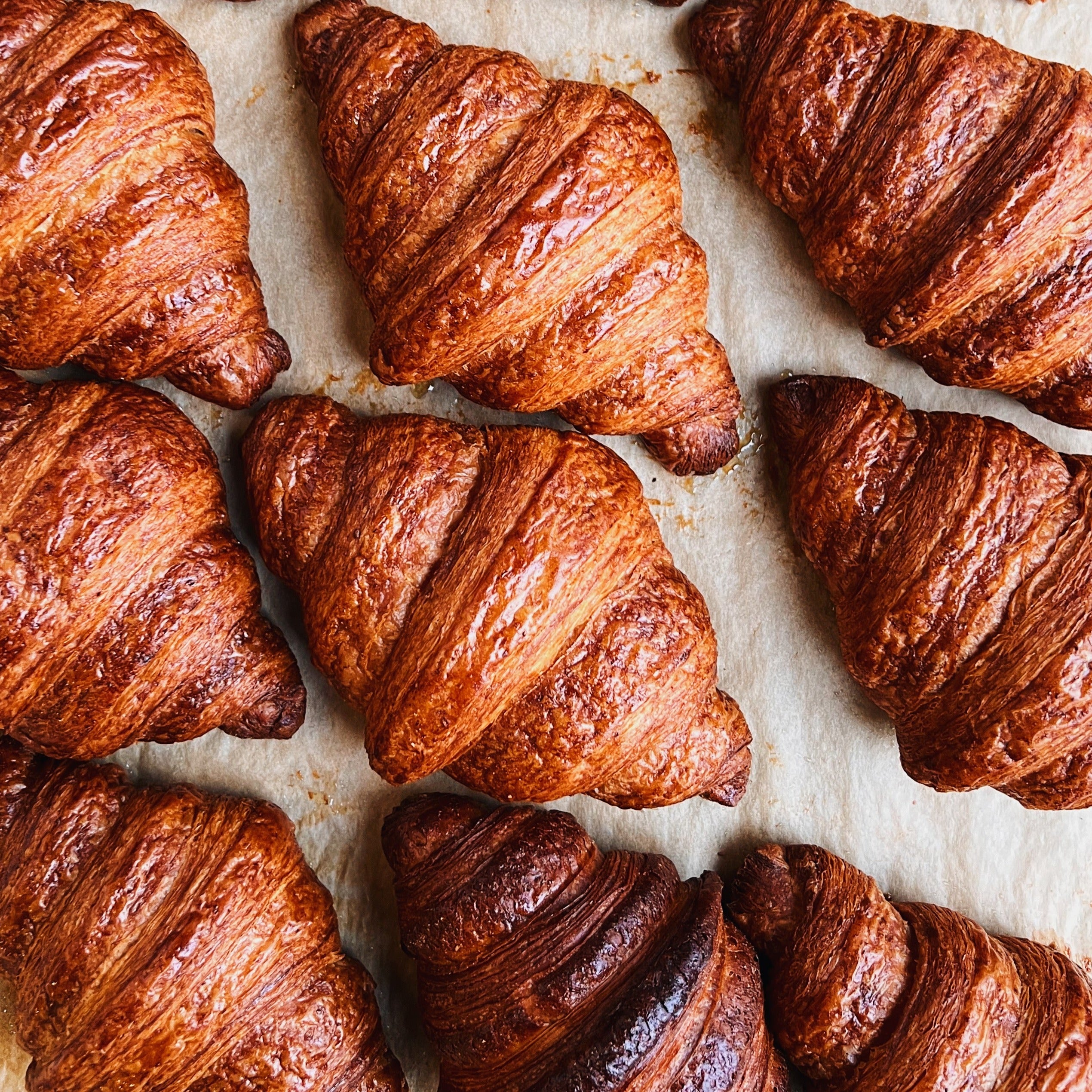 Plain Croissant – Flourist