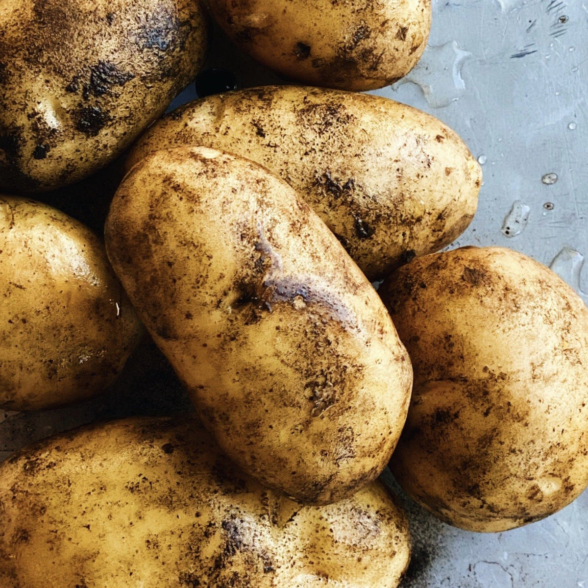 North Arm Farm BC Grown German Butter Potatoes – Flourist