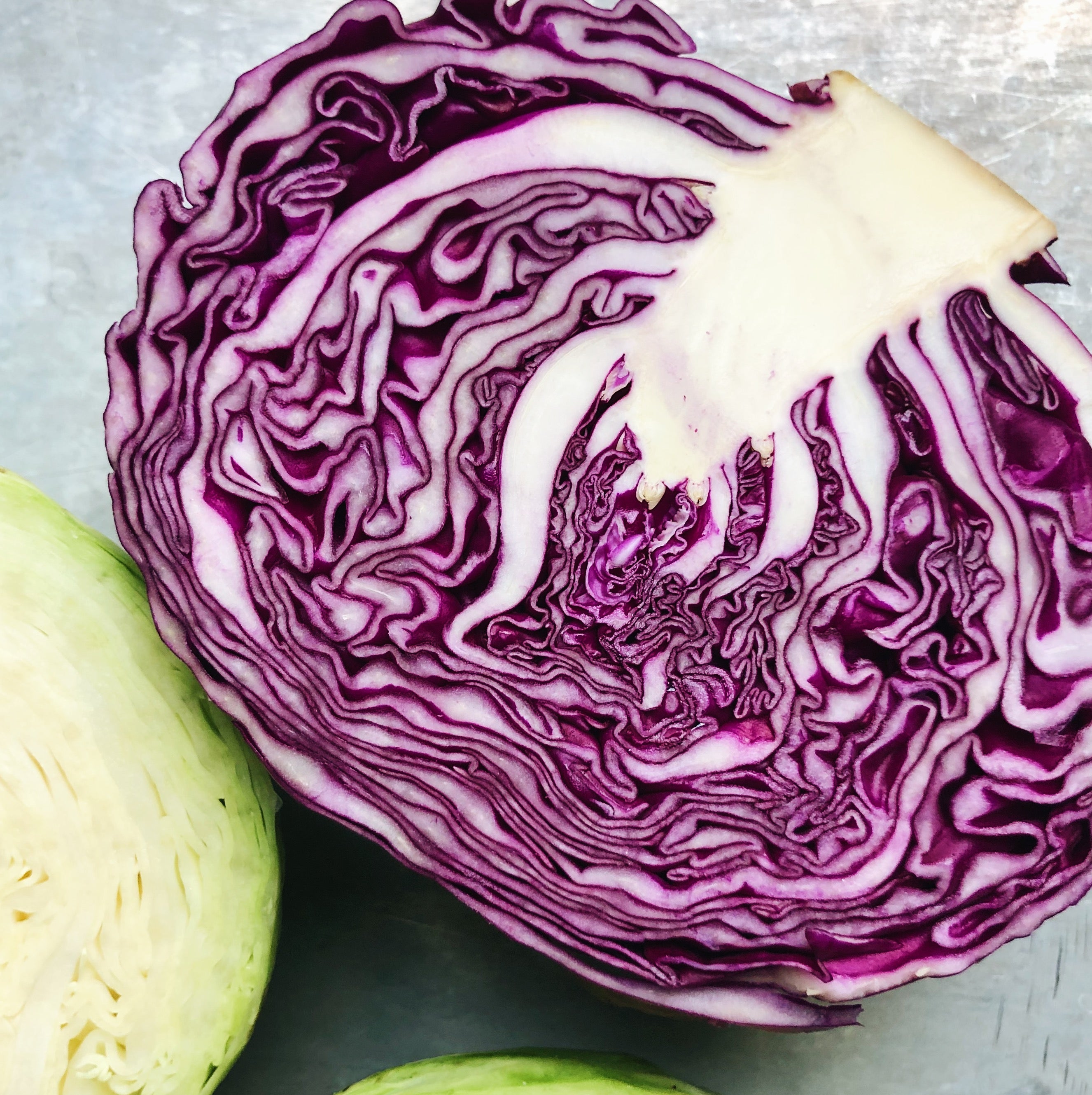 BC-Grown Organic Red Cabbage – Flourist