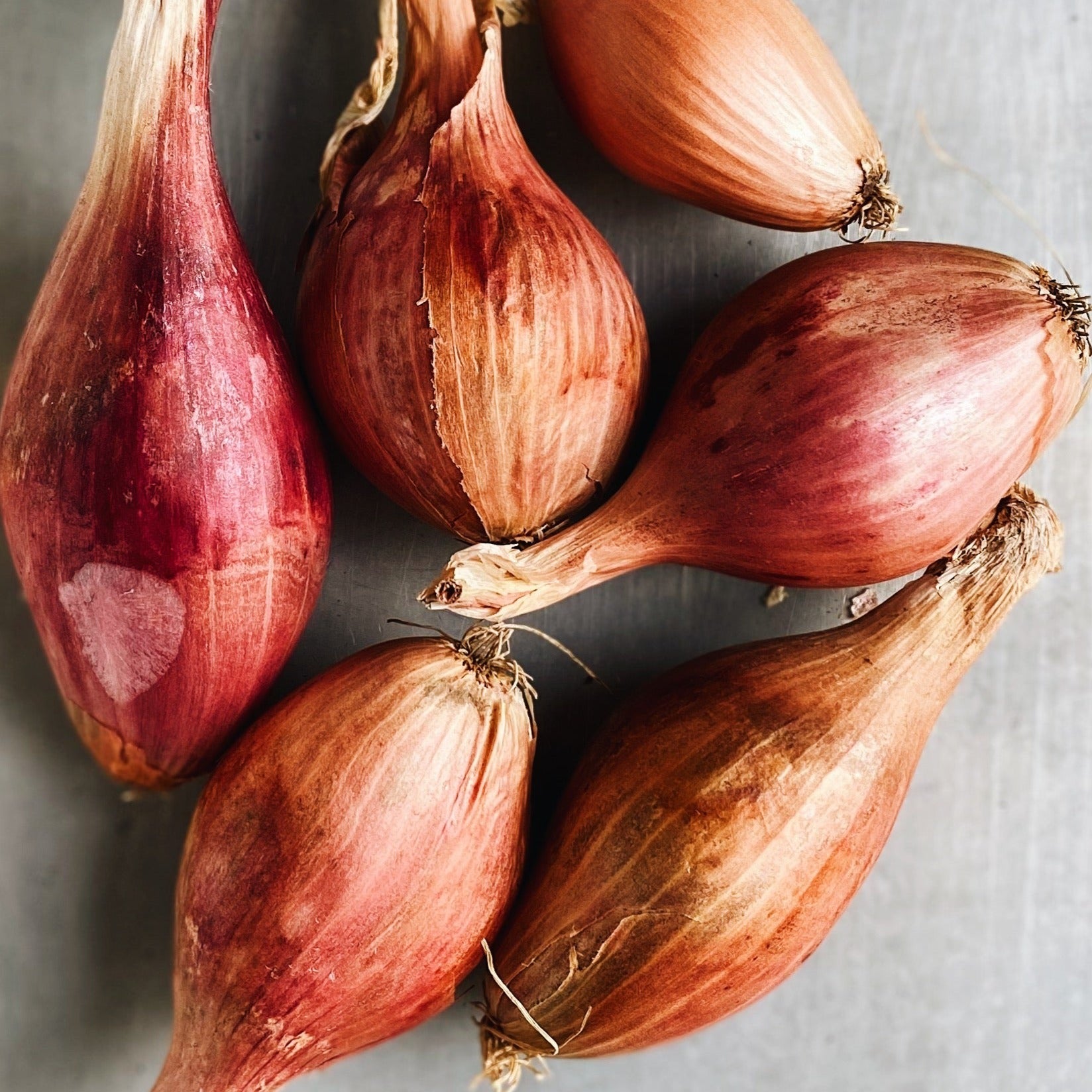 BC Grown Organic Shallots – Flourist